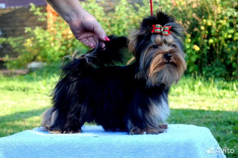 Очень красивый мальчик с темным плащом