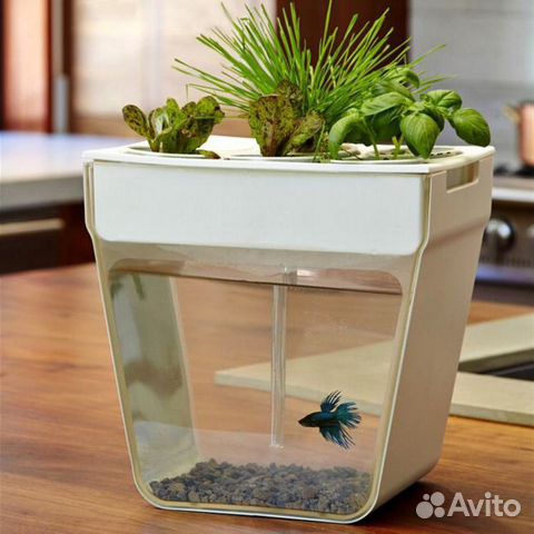 Акваферма аквариум