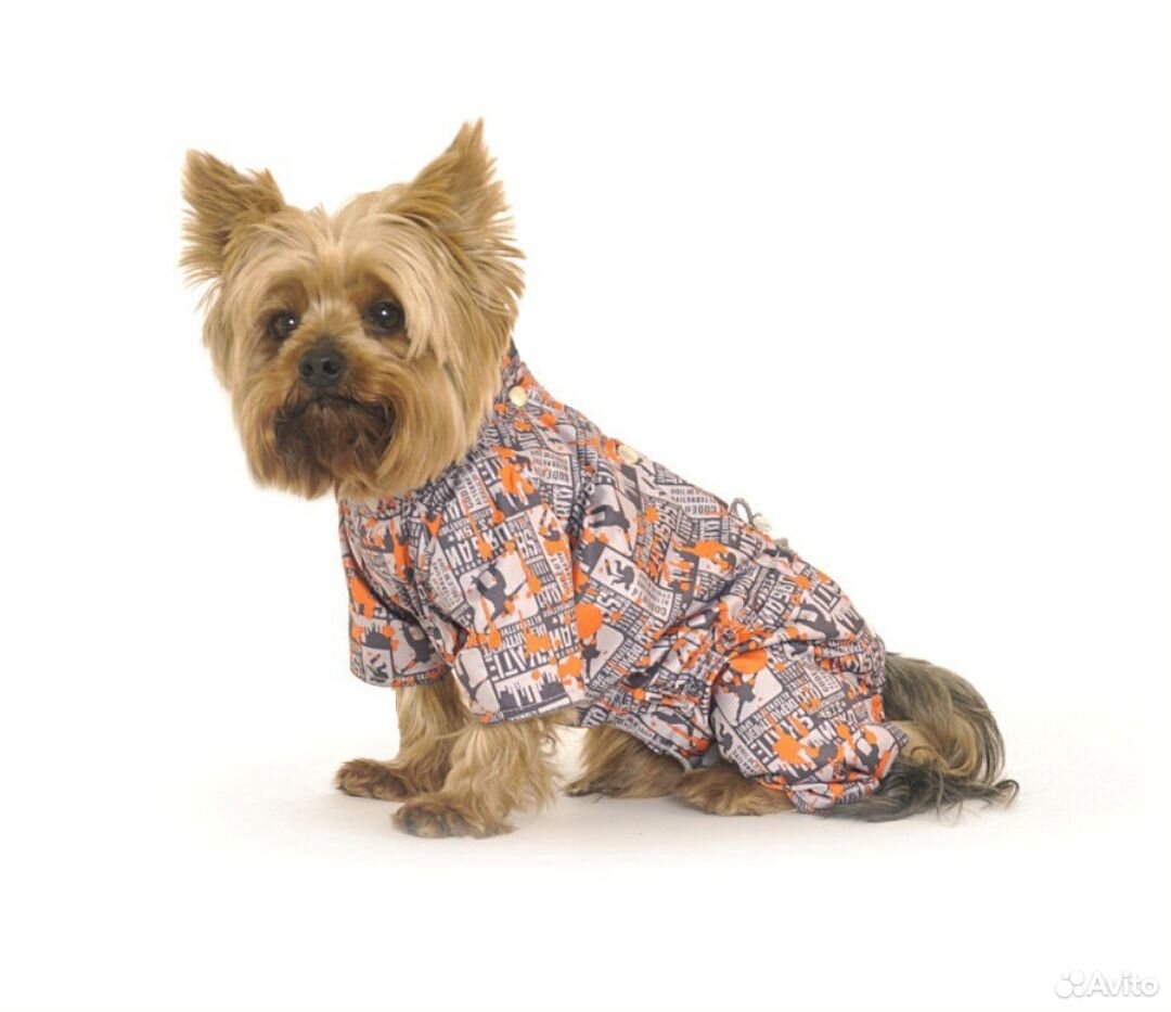 Комбинезон Yoriki