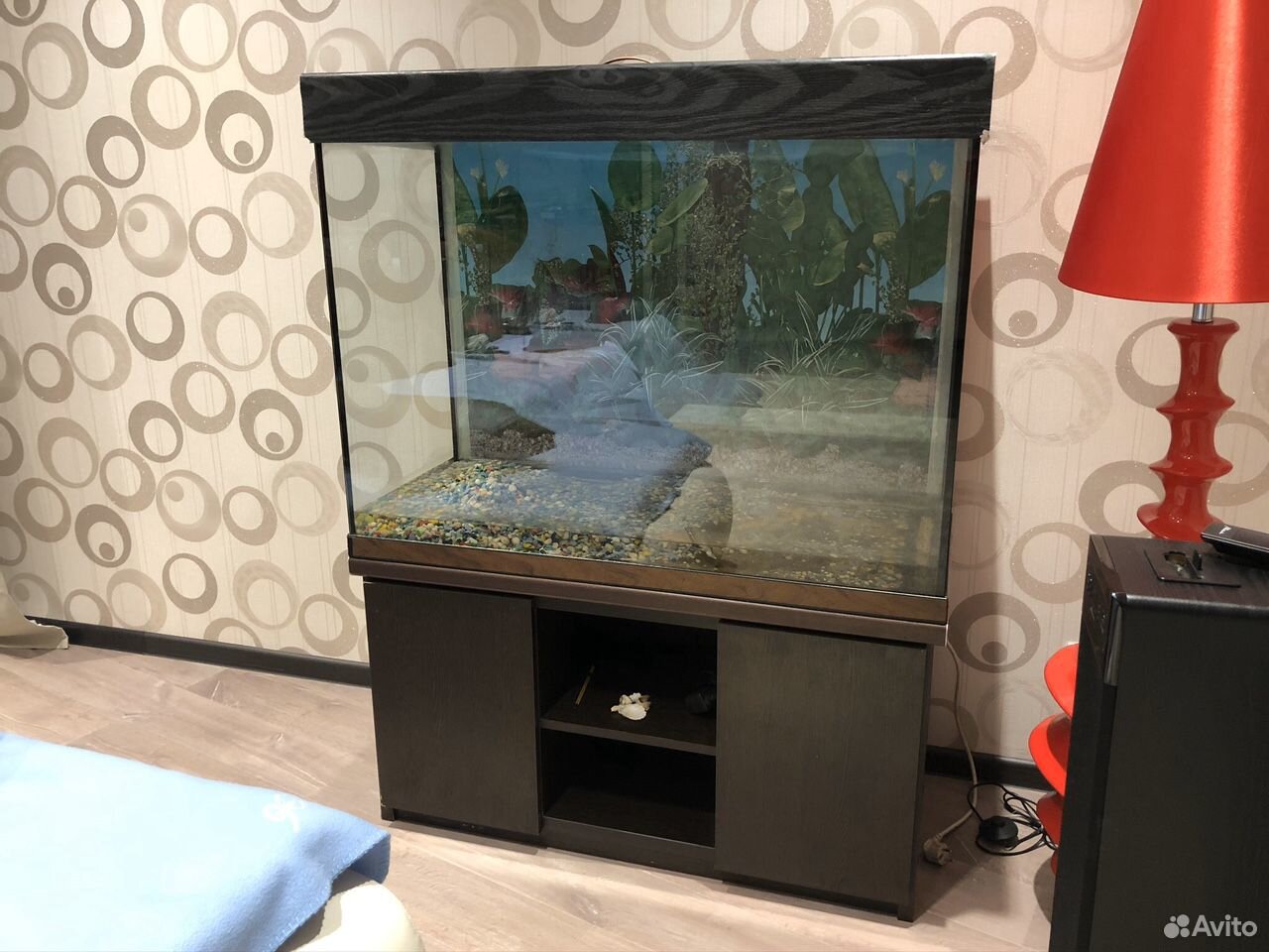 Аквариум