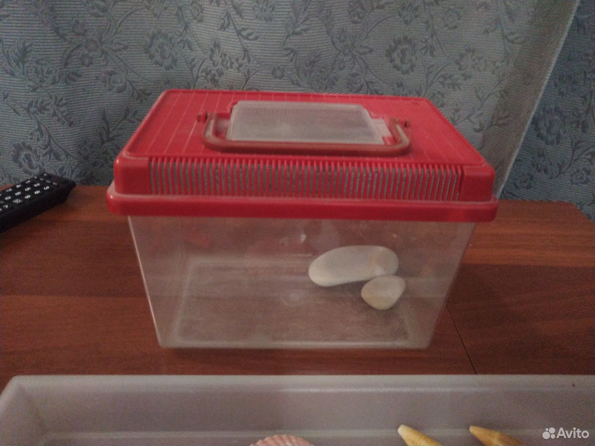 Аквариум для черепашек