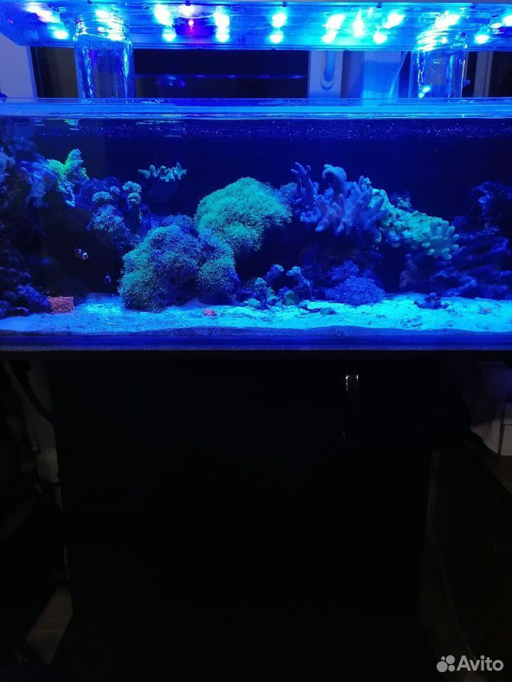 Морской Аквариум