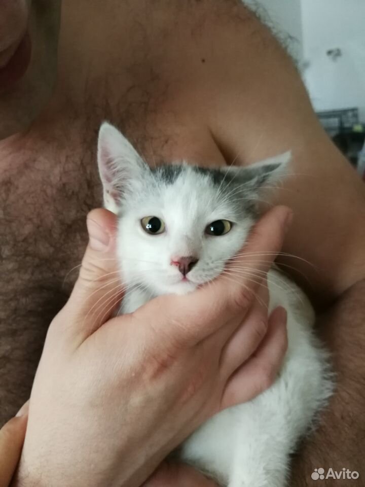 Маленькая зайка ищет дом