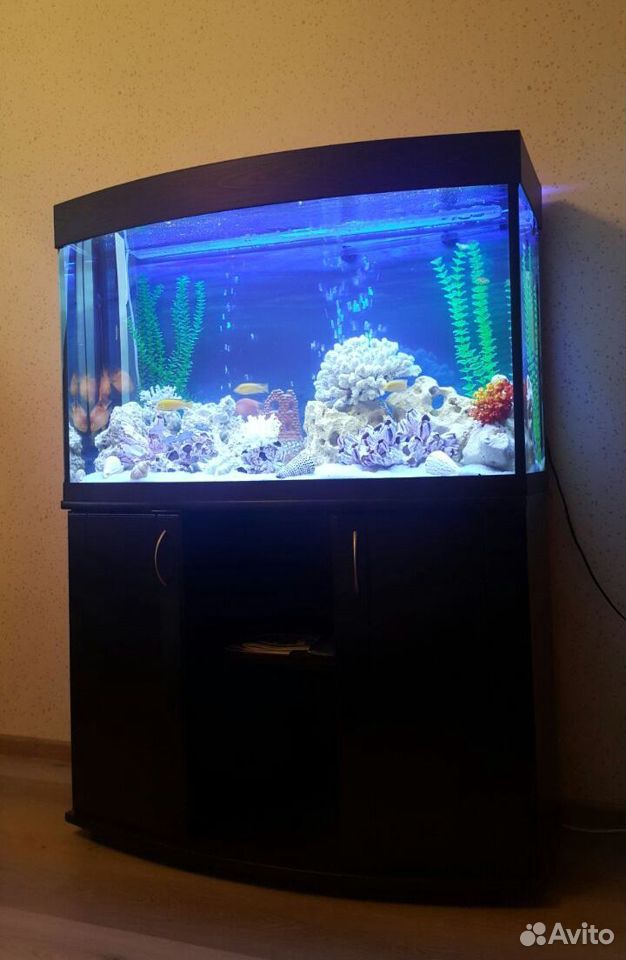 Аквариум 300 литров