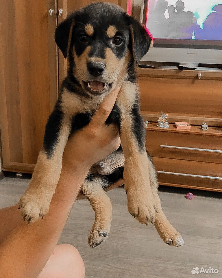 Бэтмен в добрые ручки