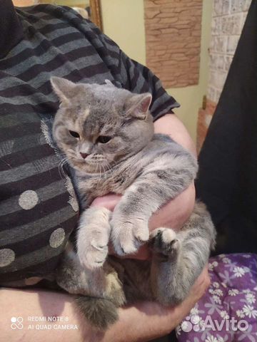 Шикарная плюшевая девочка