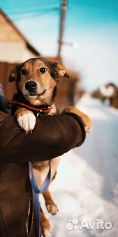 Мечтаю о самых добрых ручках