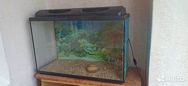 Аквариум панорамный с освещением 140 литров