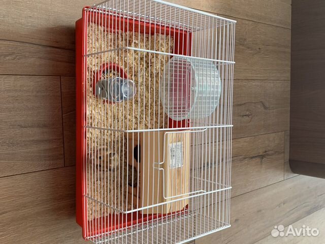 Два сирийца