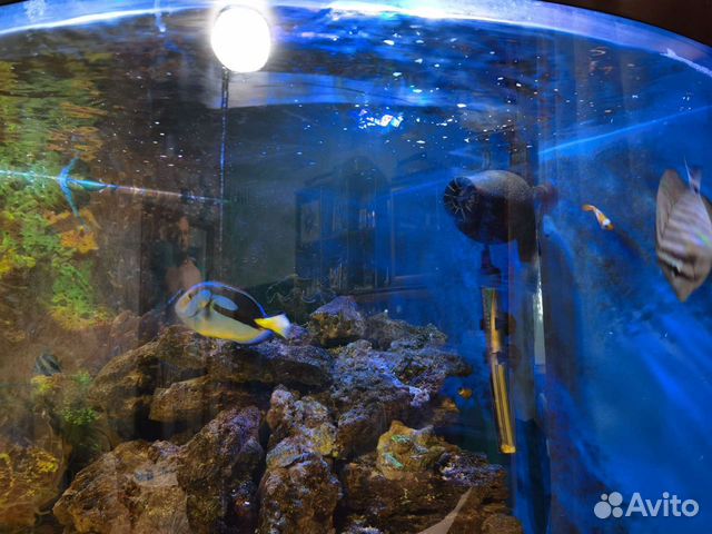 Аквариум 350л с тумбой