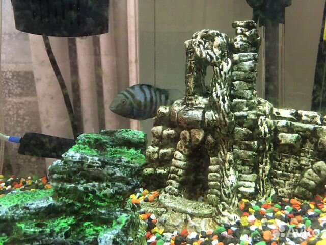 Аквариум с тумбой 20 л