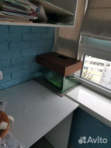 Аквариум для черепах