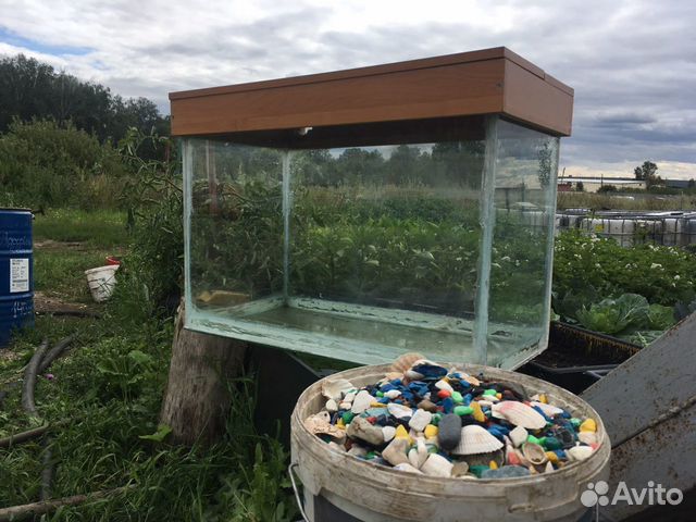 Аквариум с камушками обмен