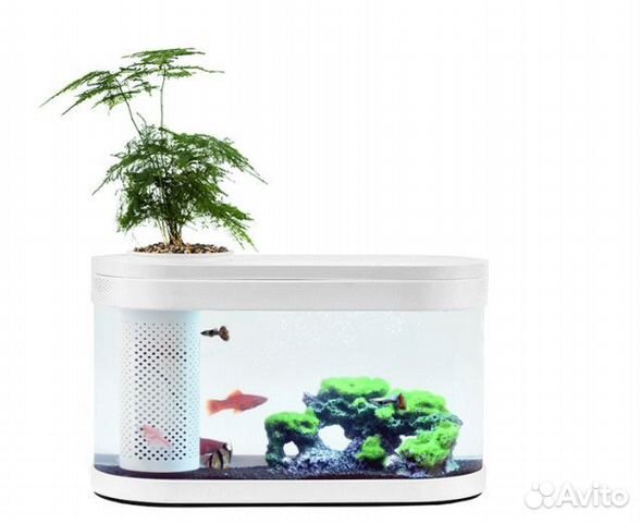 Xiaomi PRO 10L. Geometry Fish Tank Aquaponics Ecos