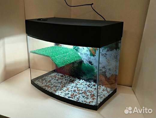 Черепашник