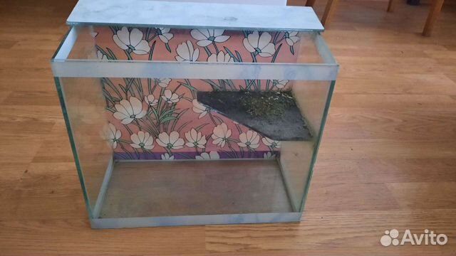 Аквариум для красноухой черепахи