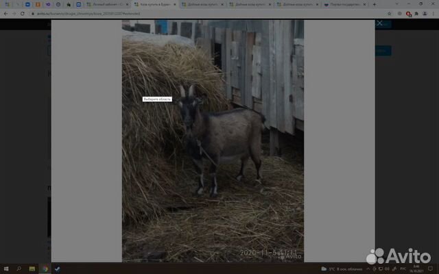 Продам высокоудойную козу