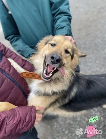 Умный Байкал ищет дом