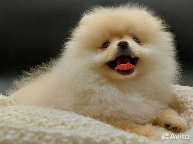 Нежное облачко