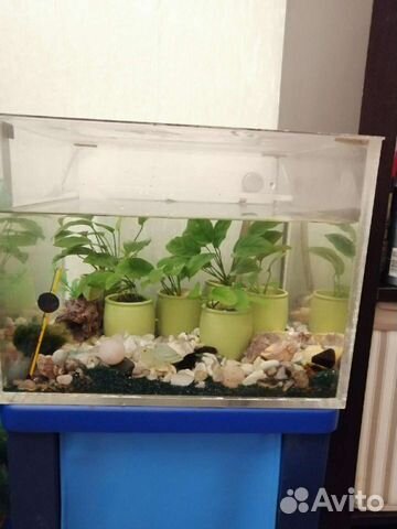 Аквариум действующий, 50л