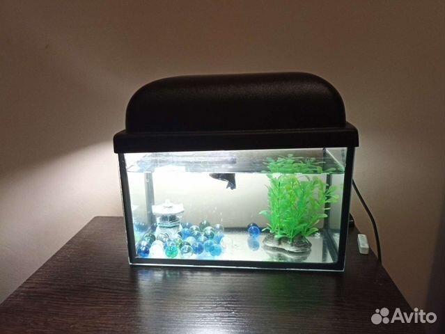 Аквариум