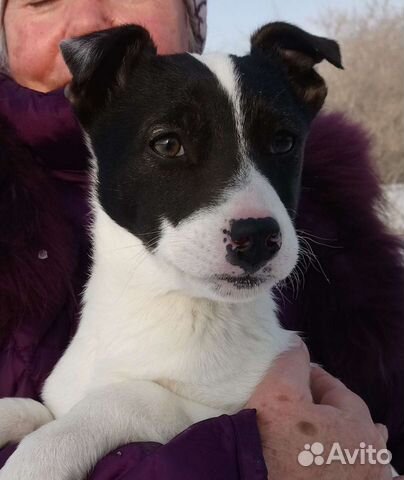 Маленькая Лола