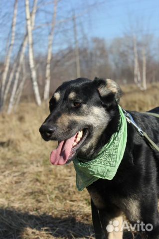 Макс хочет просыпаться в теплой месте,а не в холо