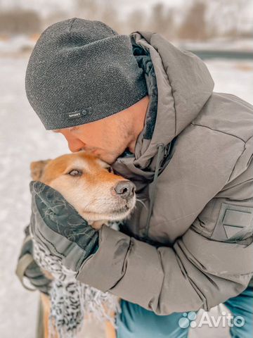 Собака 7 лет никому не нужна