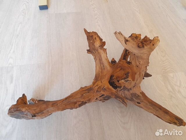 Коряги дуб лоза