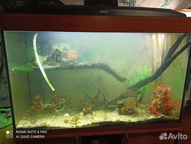 Аквариум