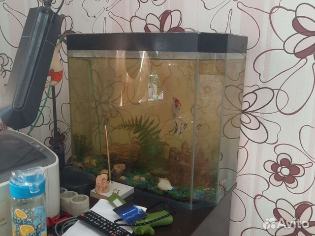 Аквариум