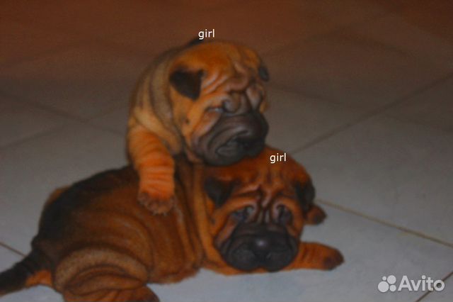 Самые яркие детки