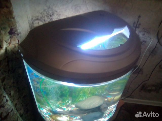Породам аквариум