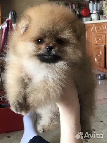 Супер малышка