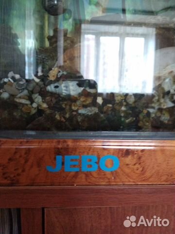 Аквариум на 400 литров