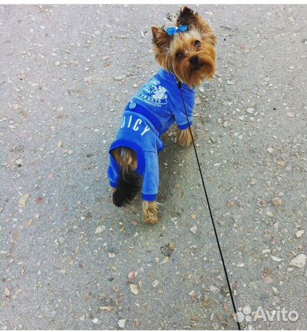 Йоркширский терьер (кабель для вязки)