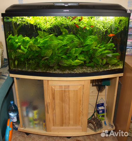 Аквариум 170л с тумбой, фильтр Eheim 2074