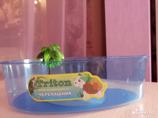 Черепашник