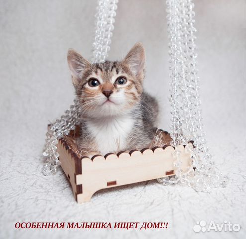Особенная малышка ищет дом
