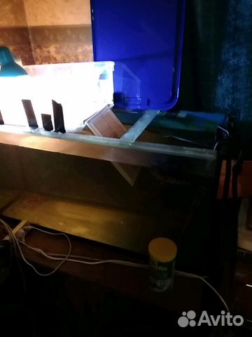 Отдам даром аквариум с черепахами