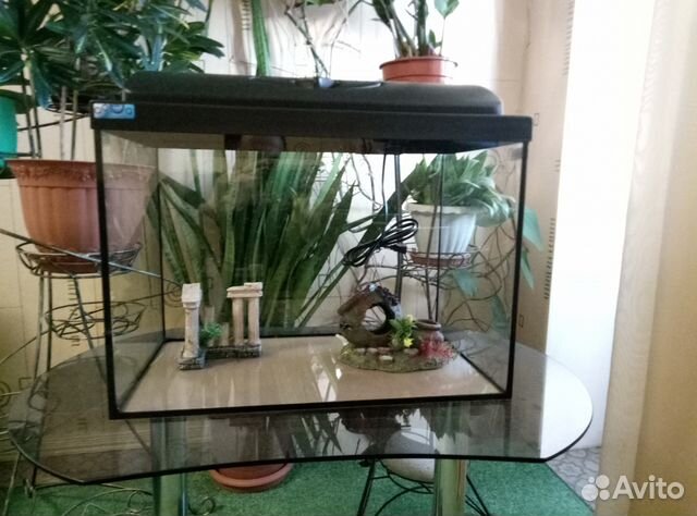 Аквариум 54 л (размер 50х30х36)