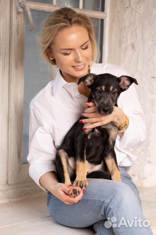 Черри, 3 мес., малышка в добрые руки