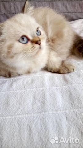 Девочка экзотка