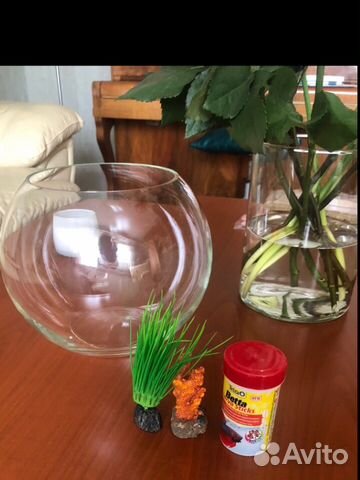 Аквариум с полным стартовым комплектом