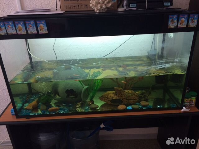 Продам или обменяю аквариум