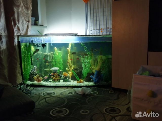 Аквариум