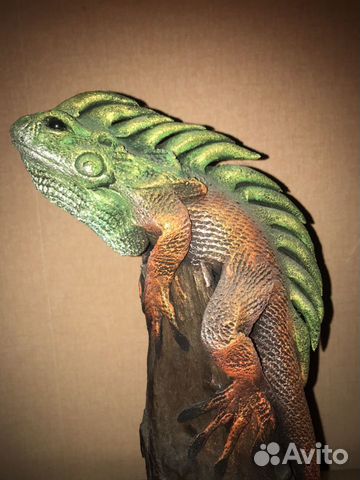 Игуана