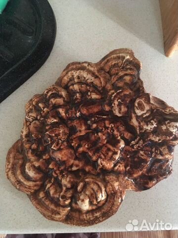 Остров для черепашки