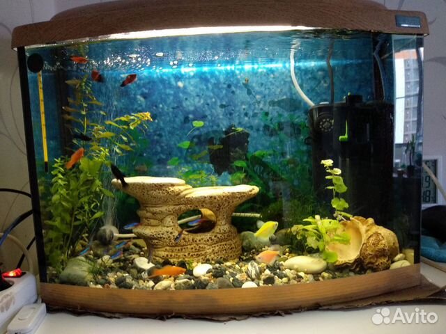 Аквариум 50л с аппаратурой