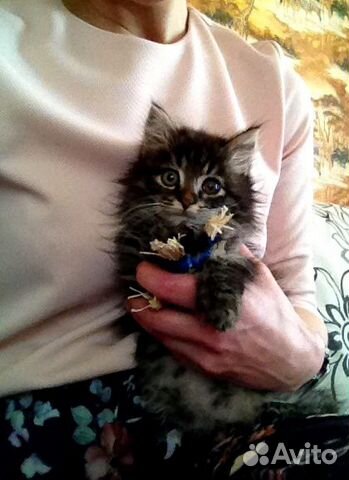 Личность Мишель